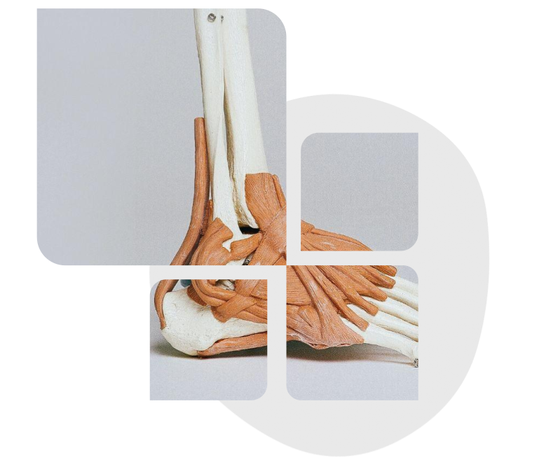 PODÓLOGO FRANCOS RODRÍGUEZ MADRID - PODOMEDIC CLINICA DE PODOLOGIA Y ...